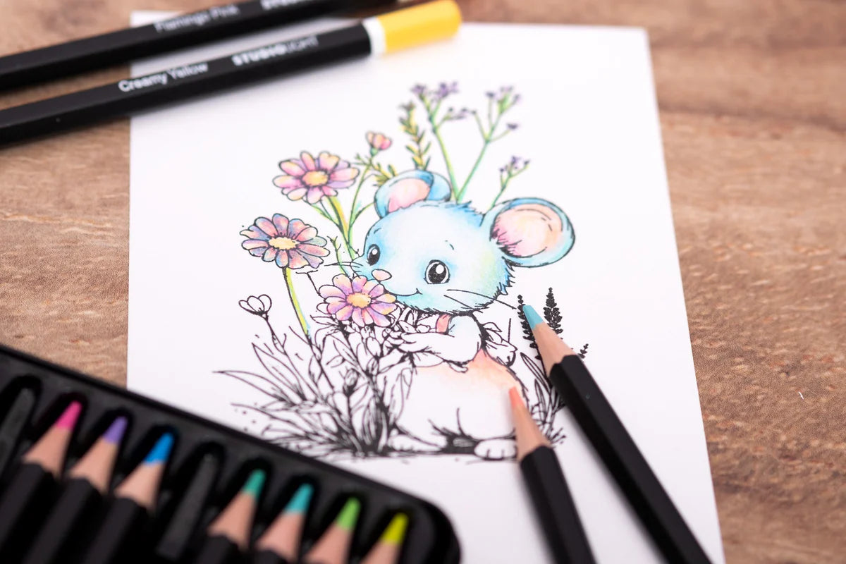 Studio Light Pencils 12 Colors In Pastel Shades – Scrap en masse